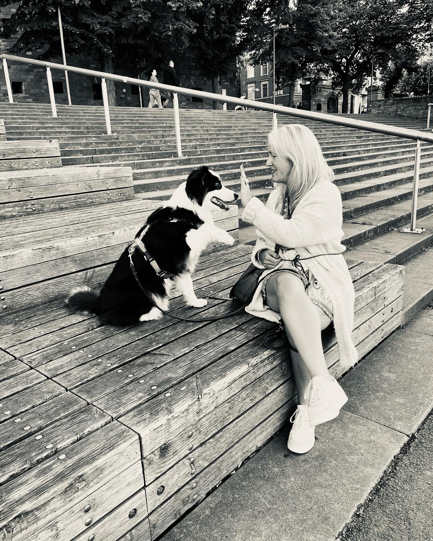 Hund-Mensch-Coaching - Cordula von Manstein